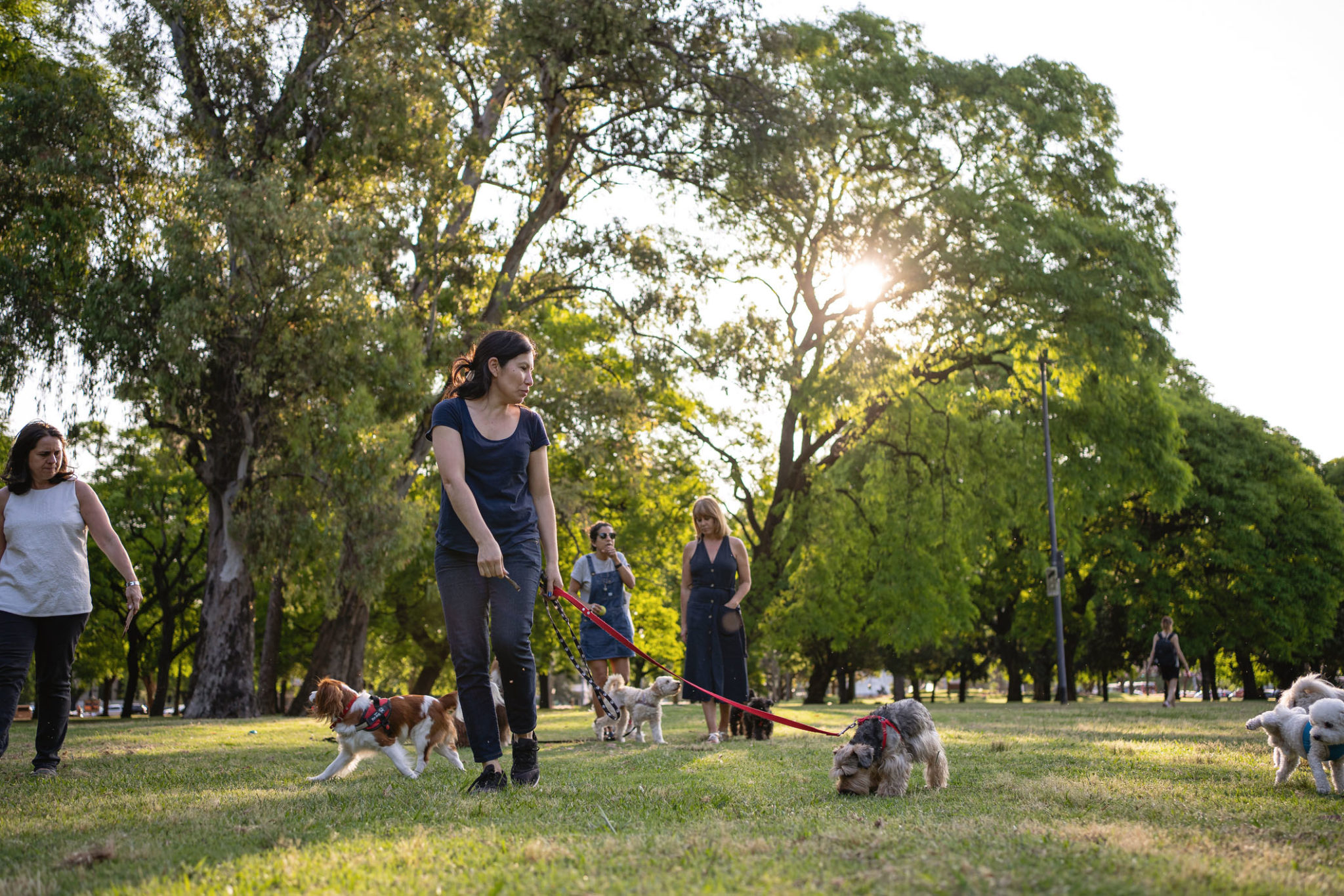 Find Local Dog Parks Anywhere | In-Home Pet Euthanasia - Heron's Crossing